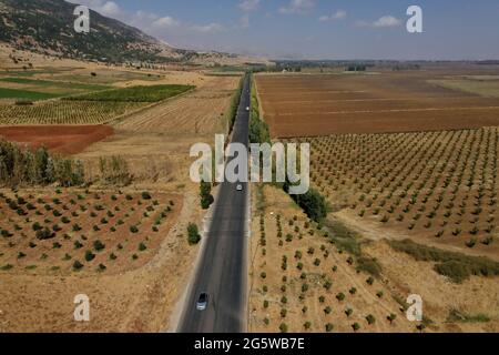 Ammiq wetland reserve Stock Photo - Alamy