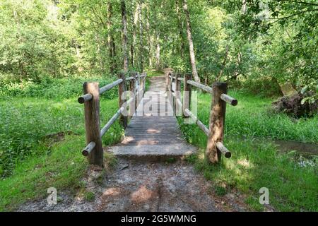 Wooden bridge made by tree trunks Stock Photo - Alamy