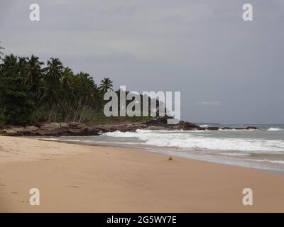 Golden beach near the city of Mirissa, Sri Lanka Stock Photo - Alamy