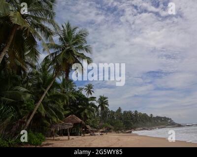 Golden beach near the city of Mirissa, Sri Lanka Stock Photo - Alamy