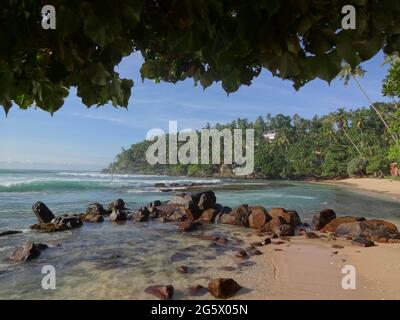 Golden beach near the city of Mirissa, Sri Lanka Stock Photo - Alamy