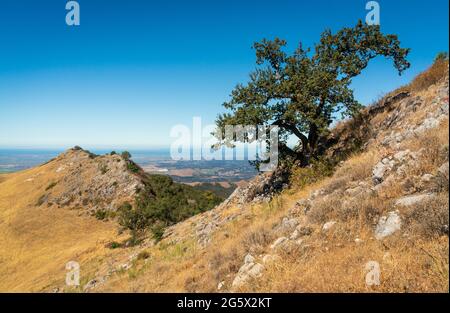 Fremont Peak State Park in California Stock Photo - Alamy