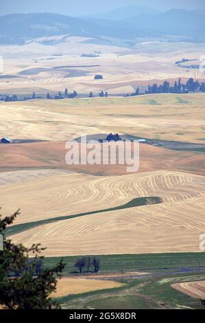 View from Kamiak Butte County Park toward Steptoe Butte in the Palouse ...