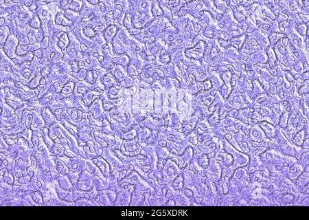 artistic beautiful monster skin surface digitally drawn background ...