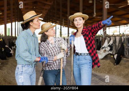 Female farmers talking and pointing at cowshed Stock Photo - Alamy