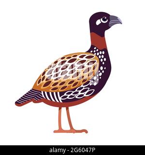 Black Francolin is a bird in the Phasianidae family of pheasants ...