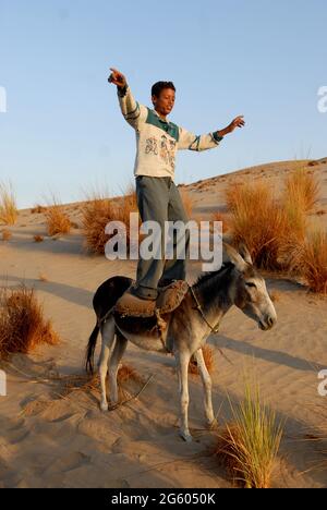 Young Boy riding a donkey Stock Photo - Alamy