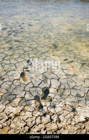 Dried up or arid muddy bottom of the water dam Liptovska Mara during ...