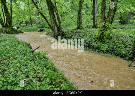 France, Doubs, Allenjoie, source of the fairies, flood, flood Stock ...