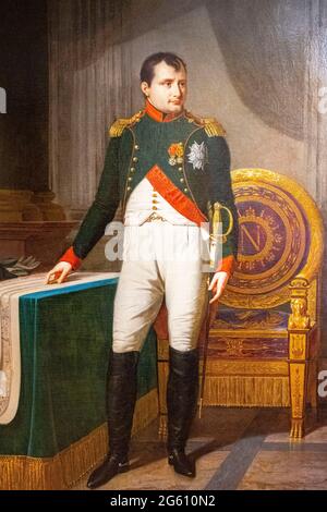 Robert Lefèvre Portrait of Napoléon 1st as colonel of the chasseur de ...