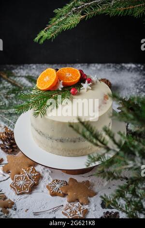 Delicious sponge cake with poppy filling. A piece of cake on a white ...