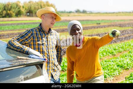 Two male farm workers talking outdoors, consulting and discussing Stock ...