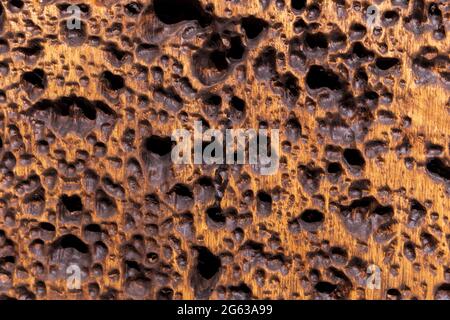 Creative background. Trypophobia concept, fear of close-packed holes ...
