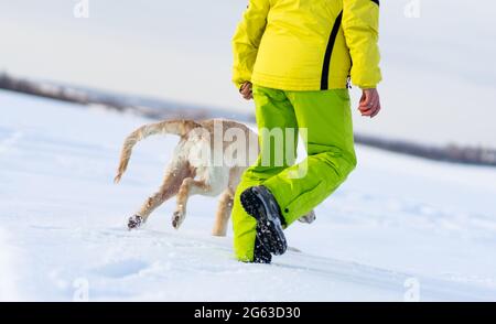 Female legs and dogs paws Stock Photo - Alamy