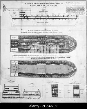Slave Ship Plan Showing Slaves in Hold, 1830 Stock Photo - Alamy