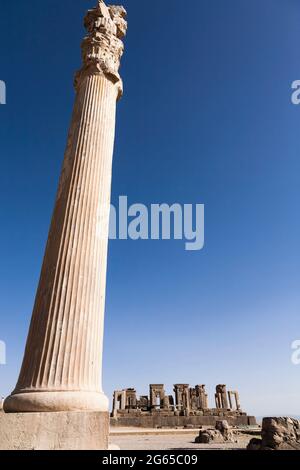 Persepolis, massive stone pillars of Apadana ruins, capital of ...