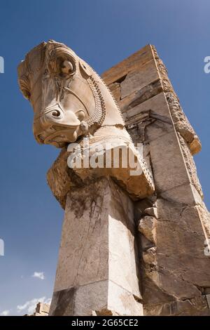 Persepolis, stone carving bull head as capital, hall of hundred columns ...