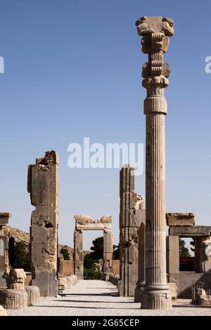 Huge columns at the Achaemenid archaeological site of Persepolis ...