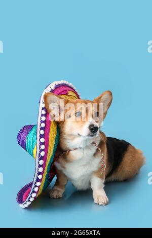 Cute dog with sombrero on color background Stock Photo - Alamy