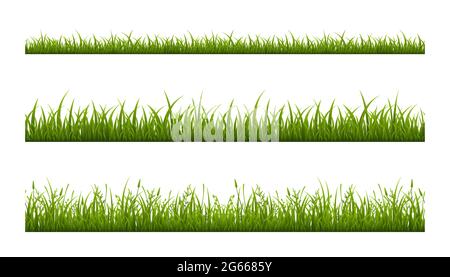 Grass frame set. Lawn border collection in different shapes. Green ...