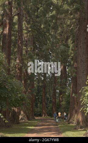 Sunnycroft preserved 20th century house Stock Photo - Alamy