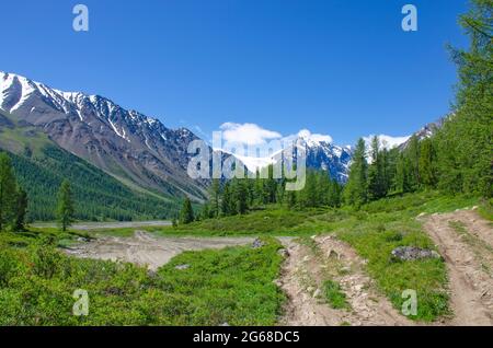 The mountain with snow top among a taiga Mountain Altai Siberia Stock ...