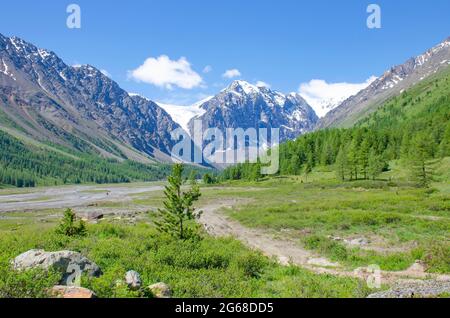 The mountain with snow top among a taiga Mountain Altai Siberia Stock ...