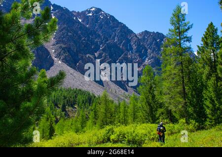The mountain with snow top among a taiga Mountain Altai Siberia Stock ...