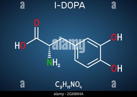 l-DOPA, levodopa molecule. It is an amino acid, is used to increase ...