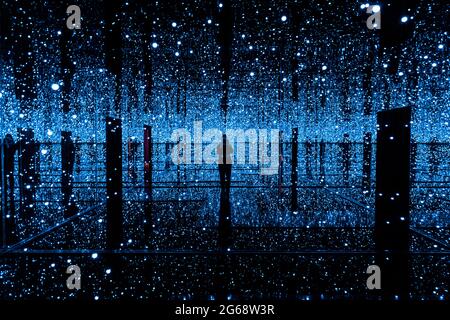 'Infinity Mirrored Room - Filled with the Brilliance of Life' at Yayoi ...