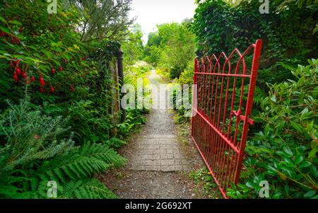 Achamore Gardens Isle of Gigha Argyll & Bute Scotland Stock Photo - Alamy