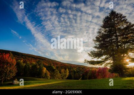 Kaaterskill forest during fall Stock Photo - Alamy