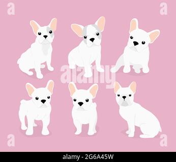 Corgi cute pet,puppy in the box, adopt animal concept, homeless ...