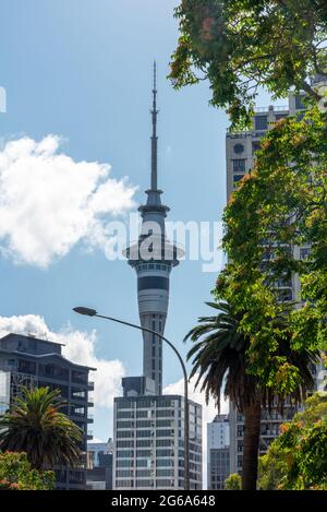 Auckland's Sky Tower in New Zealand Stock Photo - Alamy
