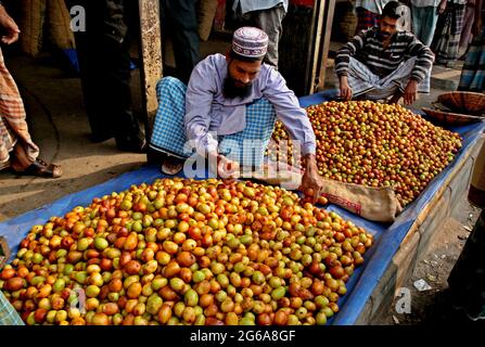 A fruit vendor sorting Indian Jujubi or Boroi (in Bangla) at the fruit ...