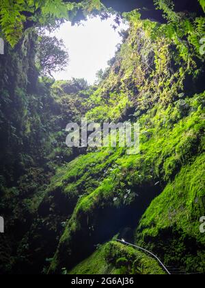 Inside the volcanic vent Algar do carvao Azores Terceira Portugal Stock ...