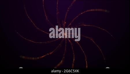 Orange light trails flowing against against black background Stock ...