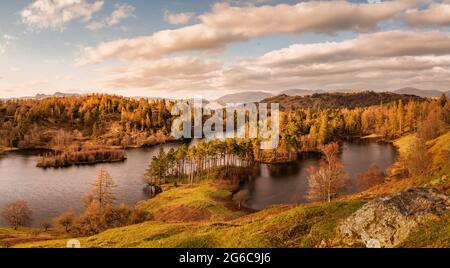 Landscape photo at Tarn Hows from the top of the rock taken at sunset ...