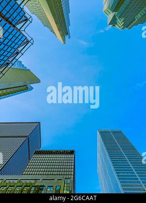 A vertical low angle shot of the facade of St. Patrick's Cathedral in ...