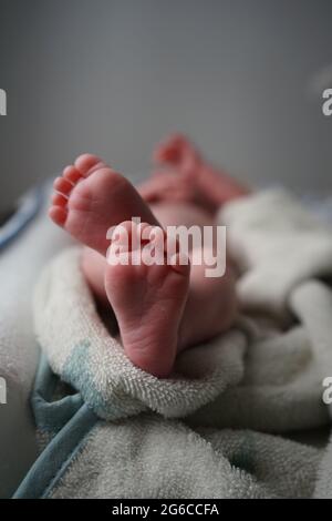 The tiny pink foot of a premature baby at the neonatal intensive-care ...