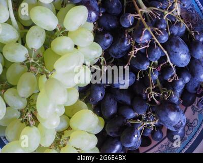 white and red grape (scientific name Vitis vinifera) vegetarian fruit ...