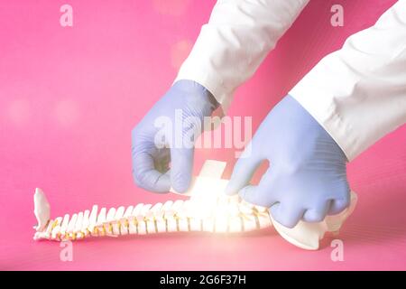The doctor glues a medical plaster to the mock up of the human ear ...