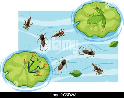 Top view of aquatic insects in the pond illustration Stock Vector Image ...