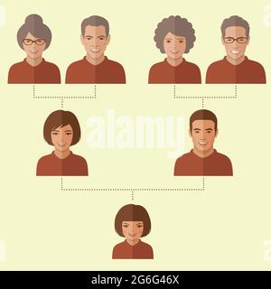 Cartoon generation family tree isolated on white Stock Vector Image ...