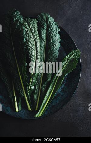 Black Tuscany Kale Stock Photo - Alamy