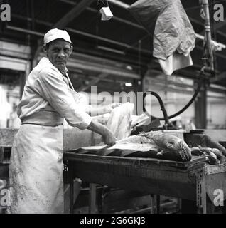 1960s, historical, fish processing, Hull, England, UK Stock Photo - Alamy