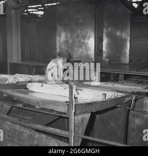 1960s, historical, fish processing, Hull, England, UK Stock Photo - Alamy