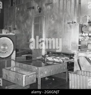 1960s, historical, fish processing, Hull, England, UK Stock Photo - Alamy