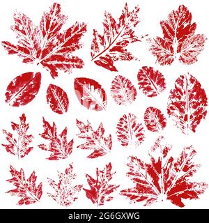 Set of vector drawings with acrylic paints. Collection of autumn leaves ...