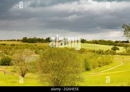 Verdant Essex countryside landscape around Chelmsford, England, United ...